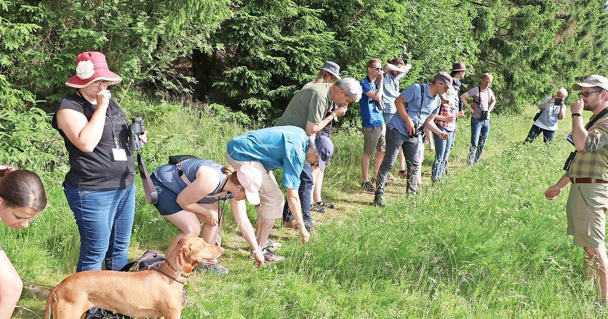Wie die Flur wieder aufblühen kann