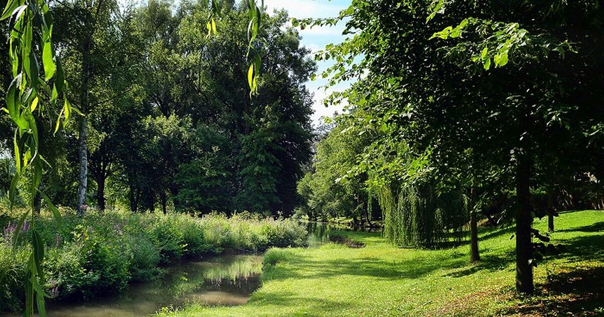 Bad Kissingen: Ob Natur-, Erlebnis- oder Nachtwächter-Führung - so kann ...