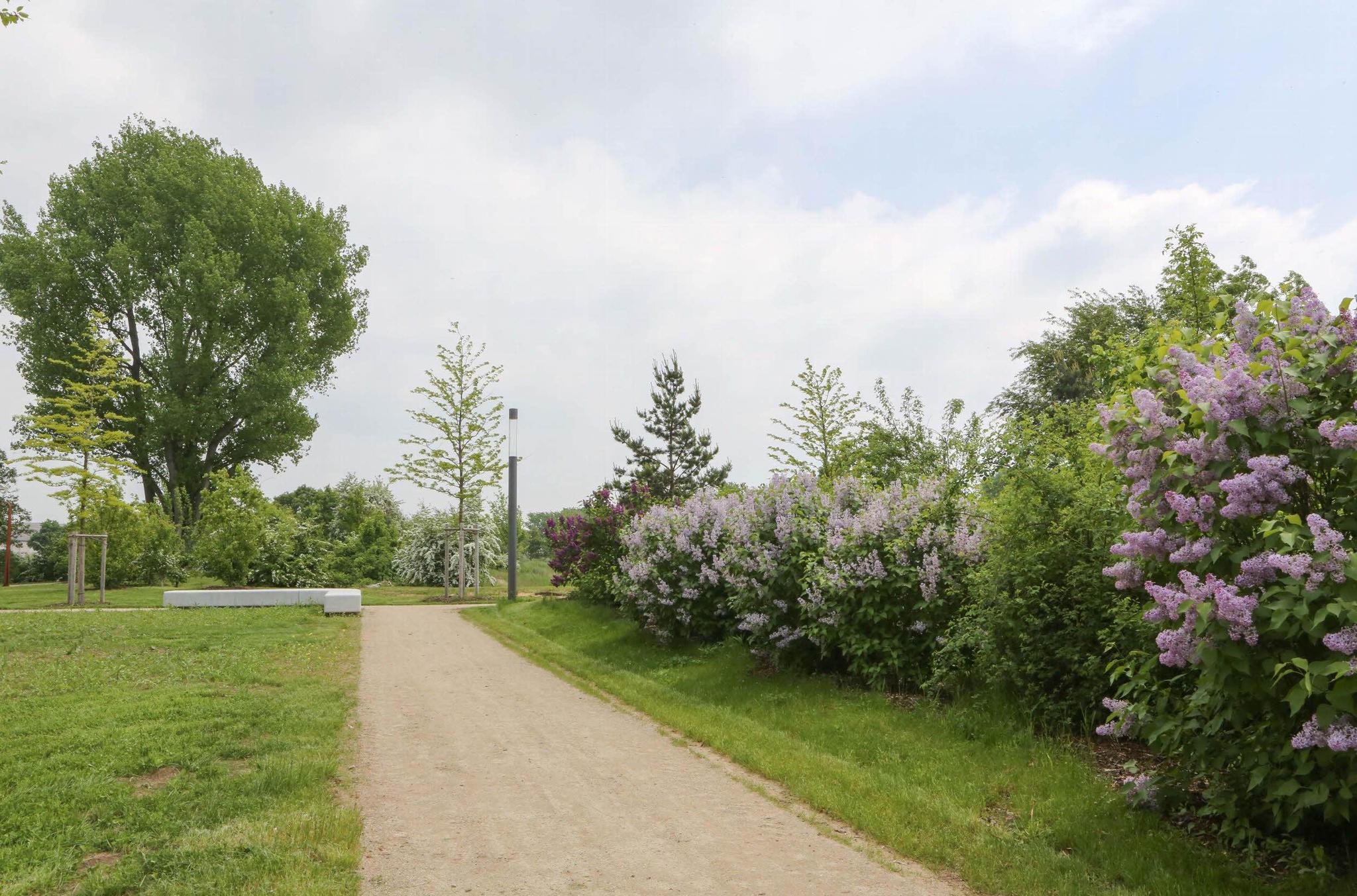 Stadt Bamberg eröffnet den Erba-Park