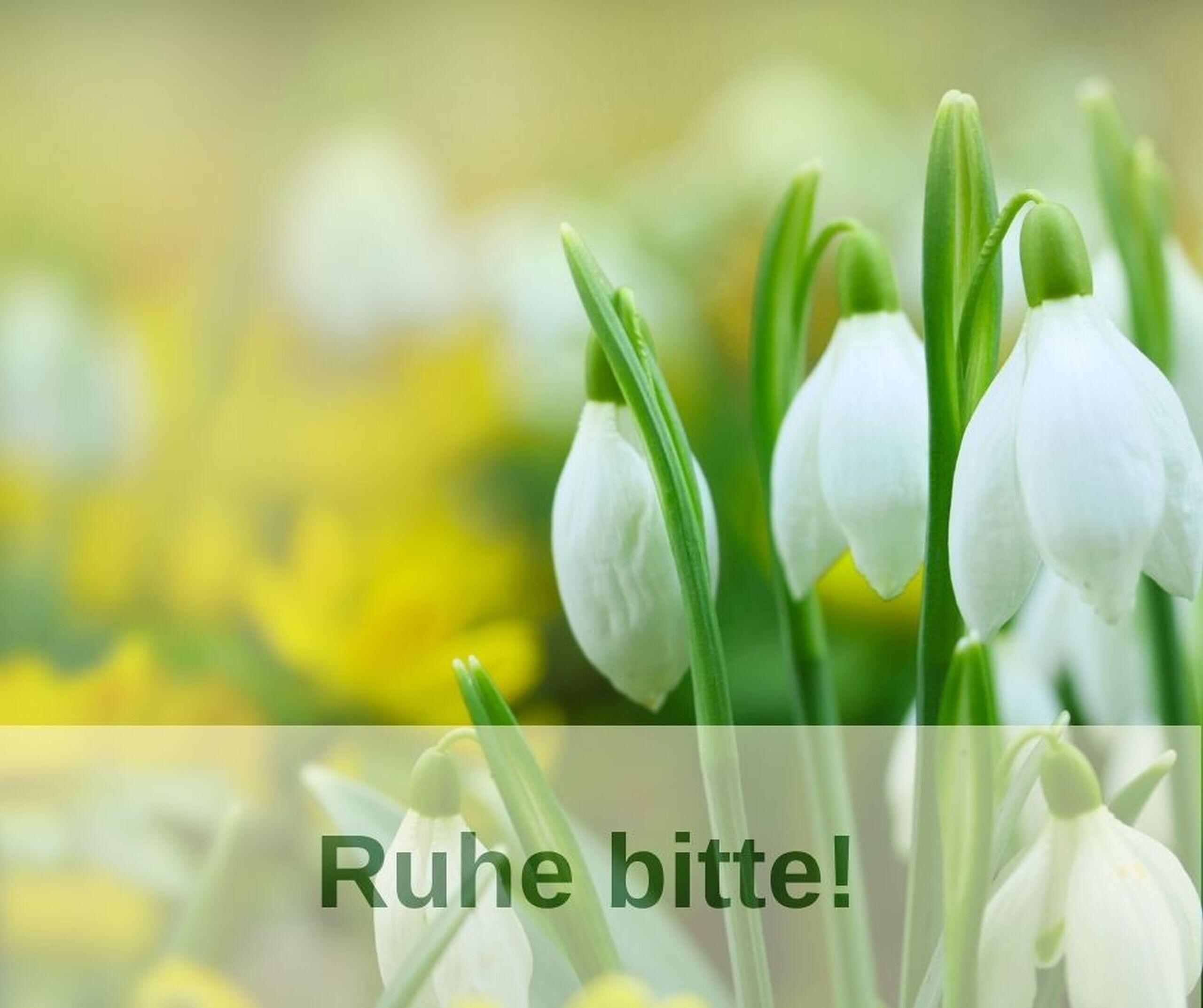 Landkreis Bamberg: "Stille Tage" stehen bevor - wann öffentliche ...