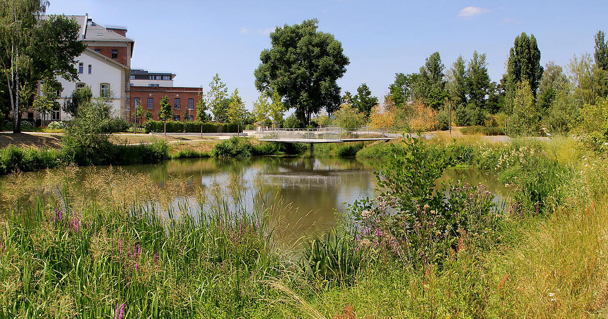Bamberg: "10 Jahre Erba-Park“ - Bürgerparkverein lädt zu Führung ein