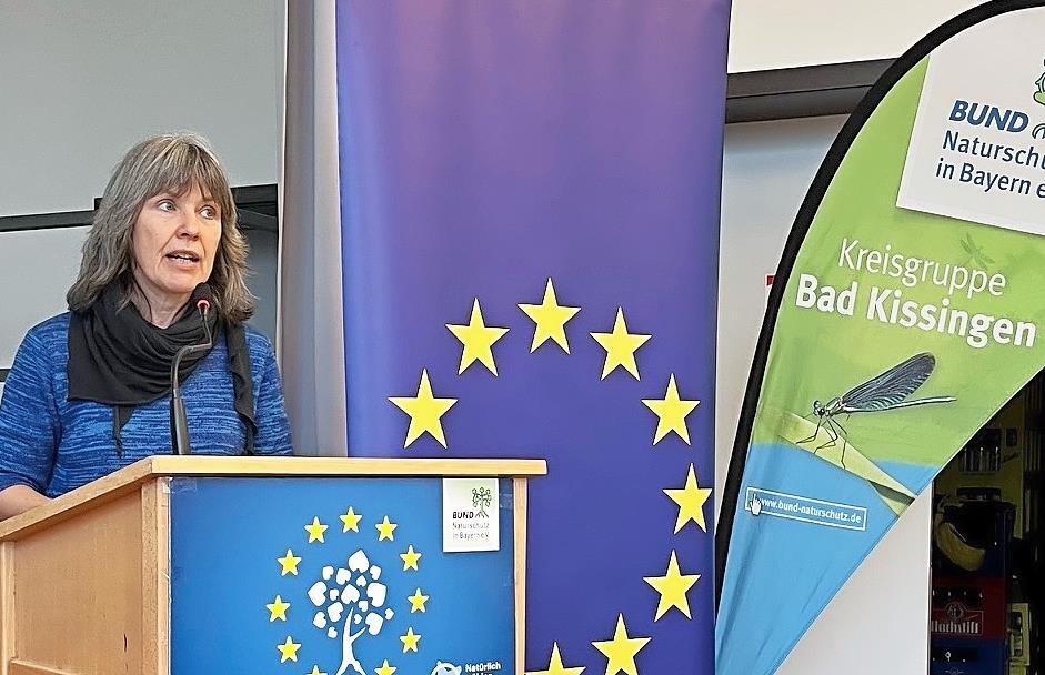 Europaparlament beeinflusst Klimaschutz