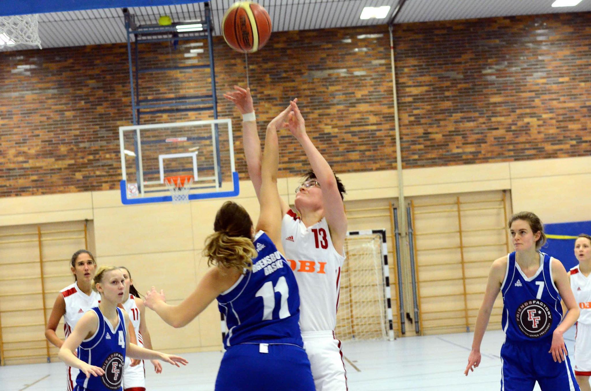 Doppelter Einsatz für die Shorthorns