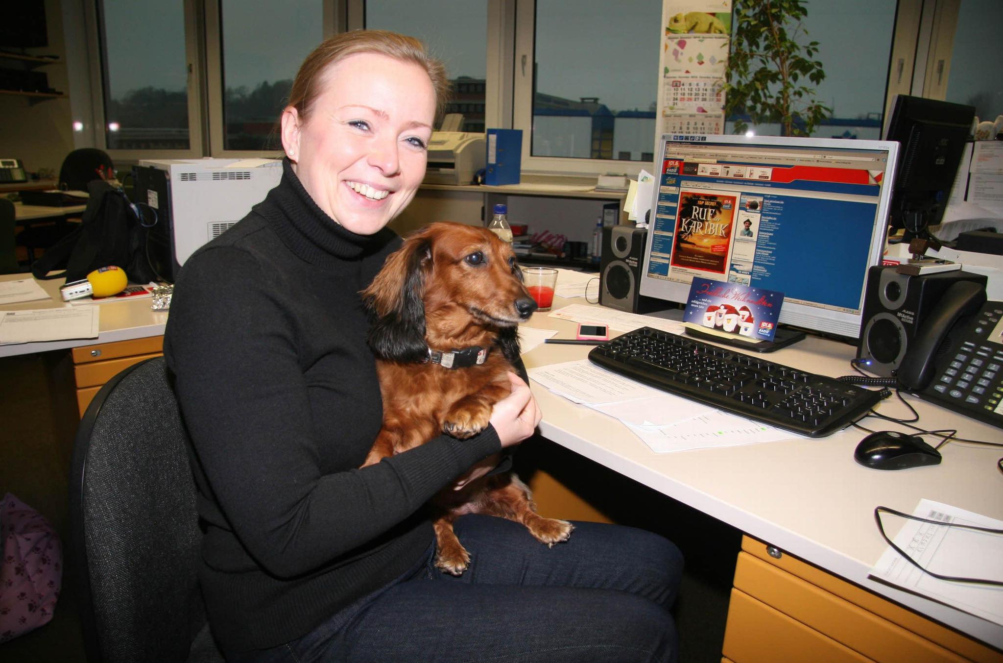 Tierisches Büro: Kollegen auf vier Beinen