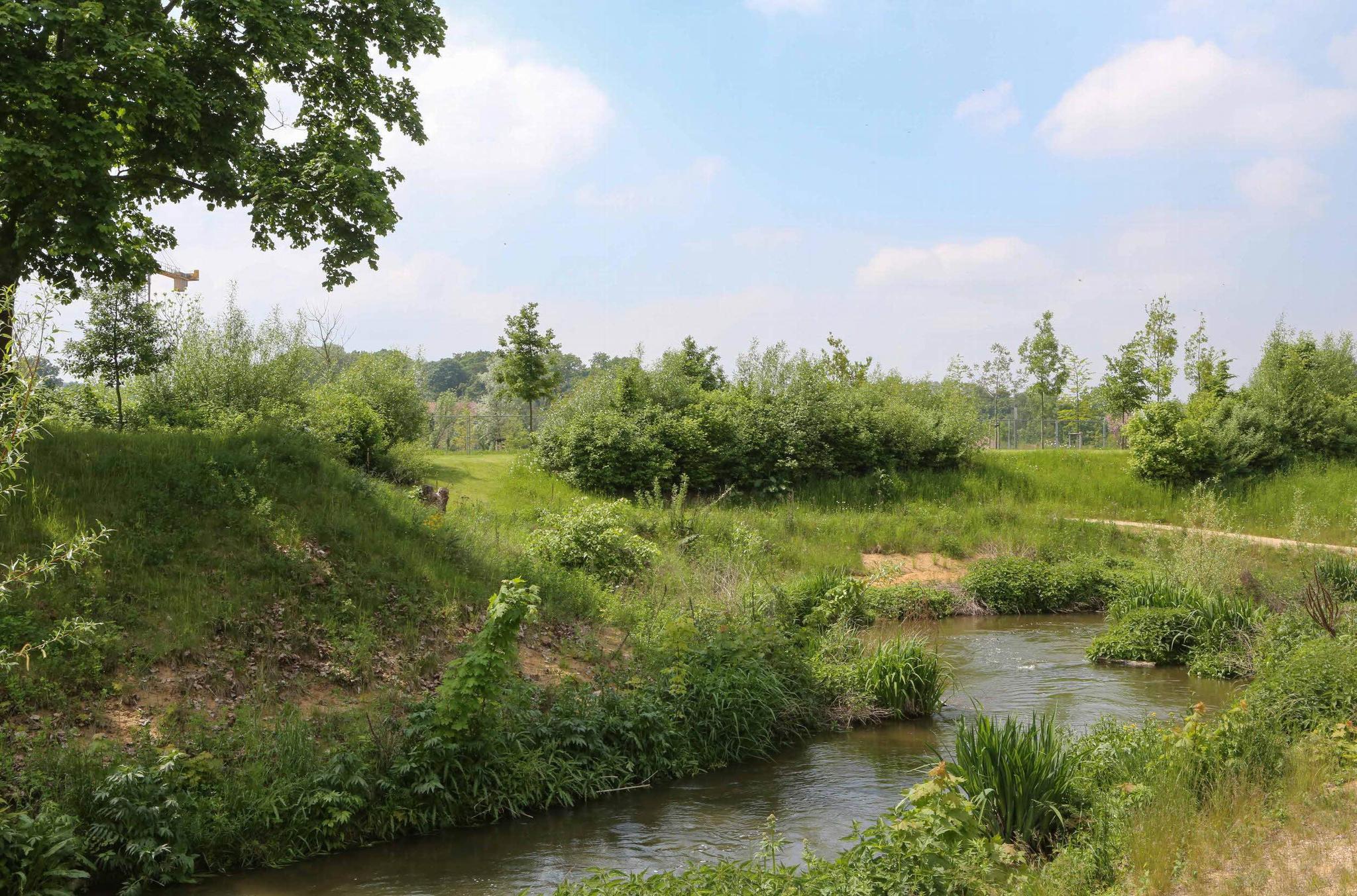 Stadt Bamberg eröffnet den Erba-Park