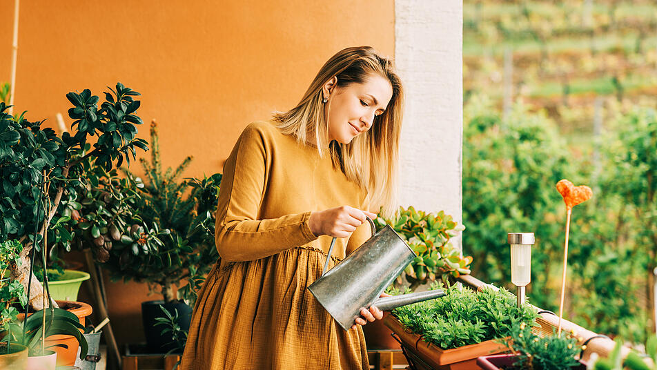 Pflanzen im Urlaub mit Wasser versorgen: So baust du dir dein eigenes ...