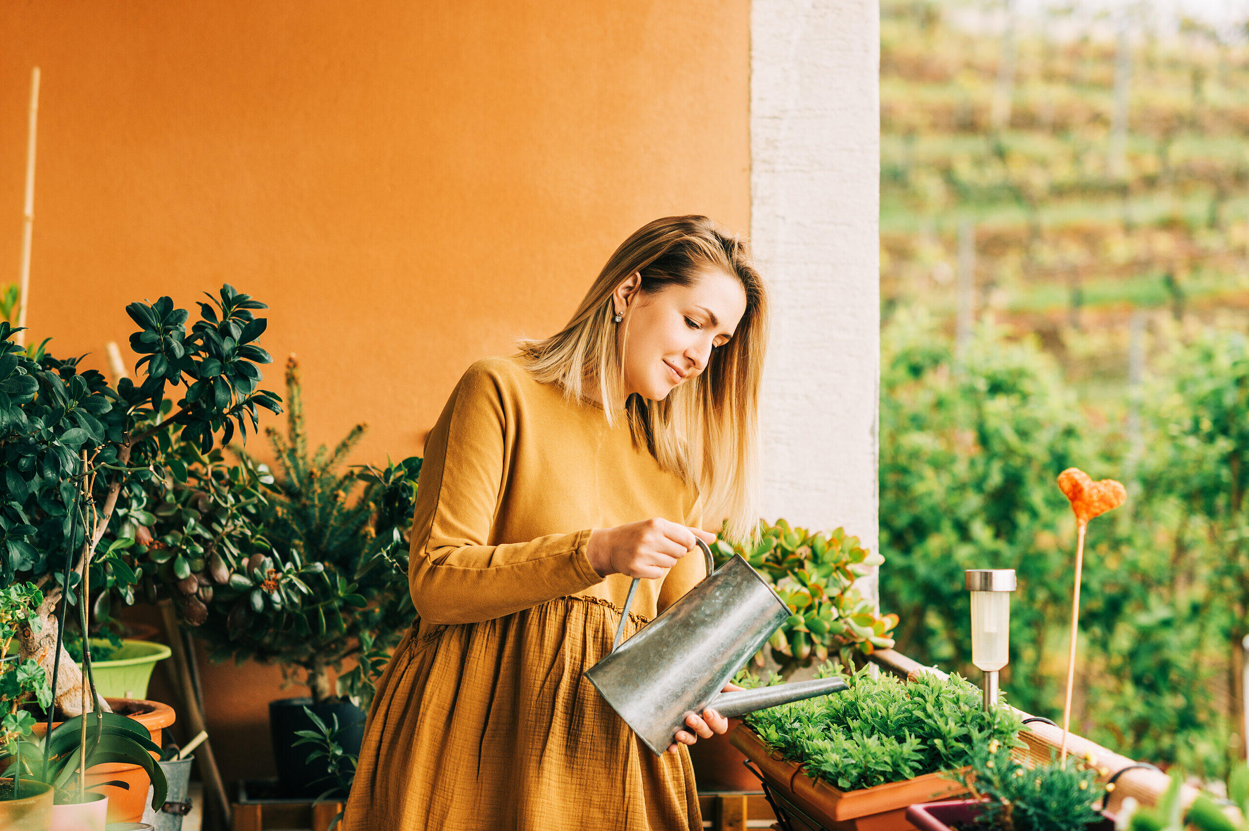 Pflanzen im Urlaub mit Wasser versorgen: So baust du dir dein eigenes ...
