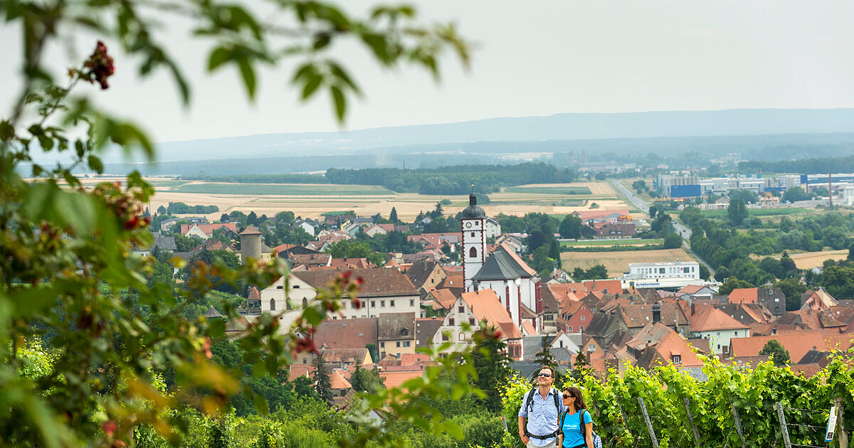 Dettelbach: Stadt eröffnet Wandersaison - Wein, Alpakas, Deko und Co.