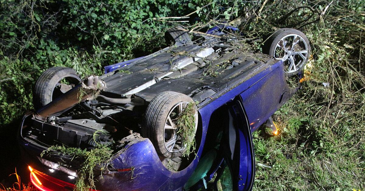 A7 bei Windelsbach: Wildschwein taucht plötzlich auf Autobahn auf ...