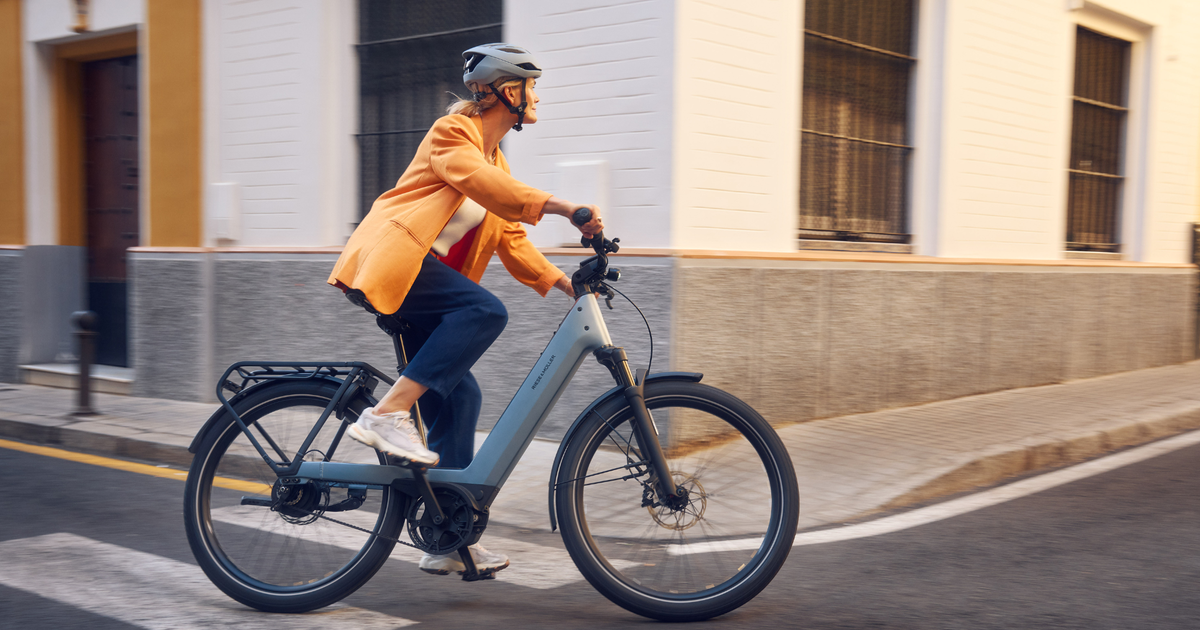 Premium-E-Bikes von Riese & Müller: Starker Sommer-Begleiter?