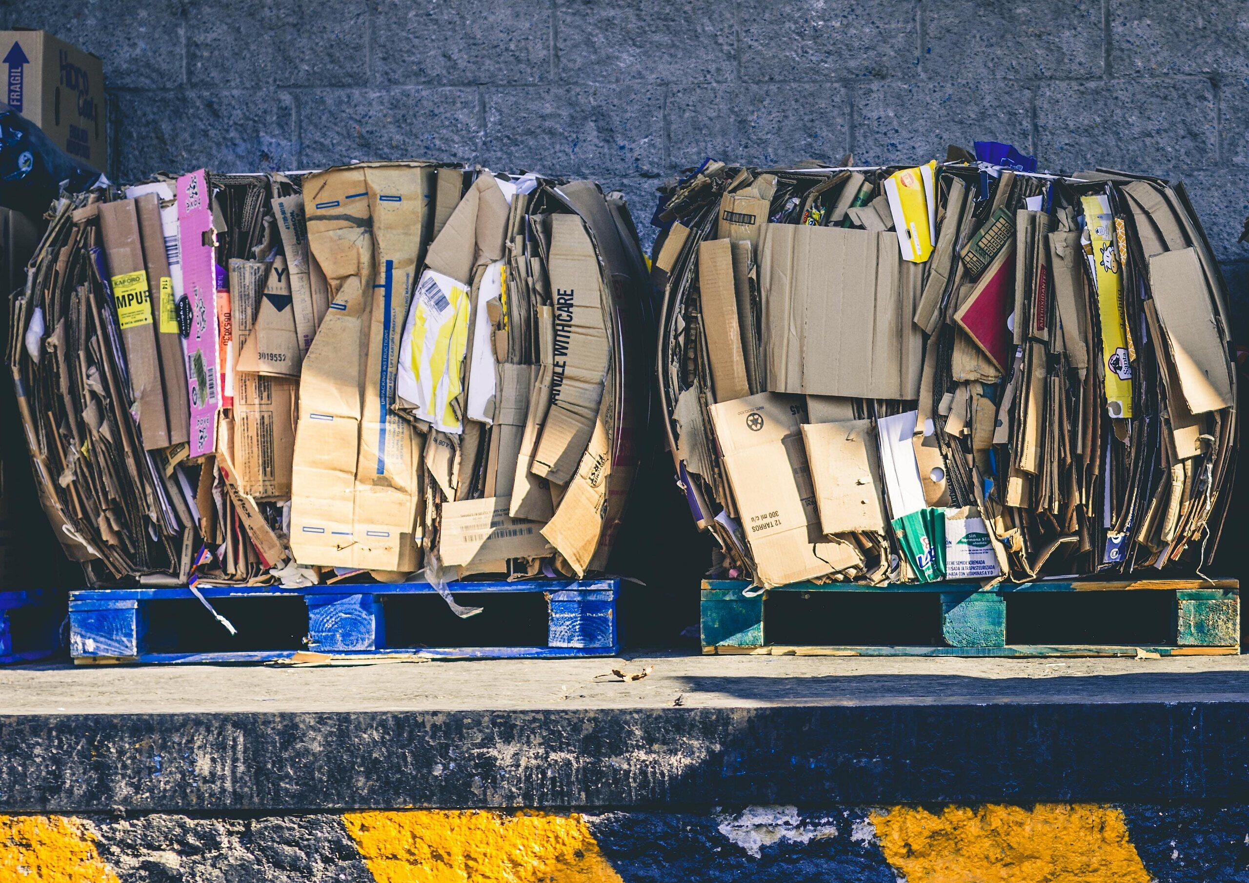 Darf Man Bücher In Die Papiertonne Werfen? - Buch Lesen