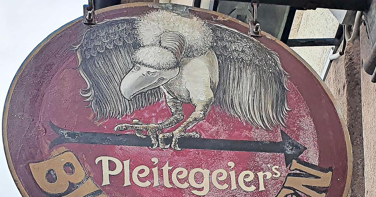 Von der Orangerie bis zum Pleitegeier