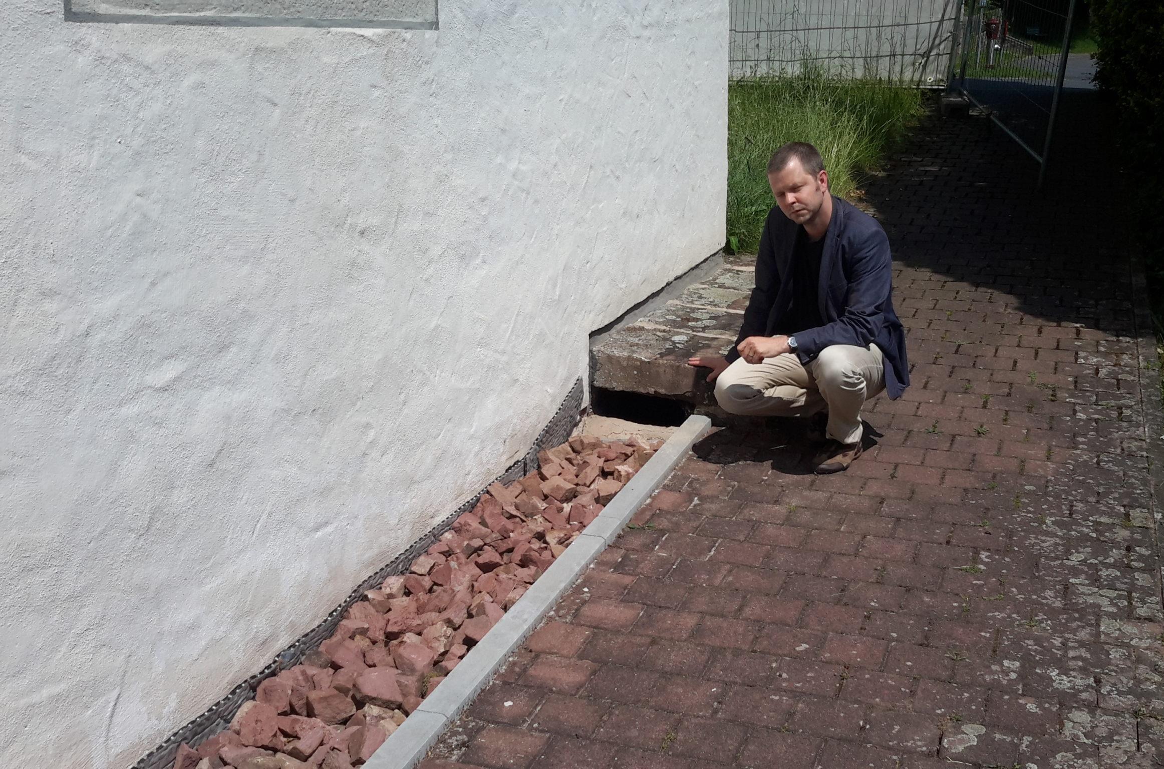 Tropische Rattenmilbe macht vor Kirche nicht halt