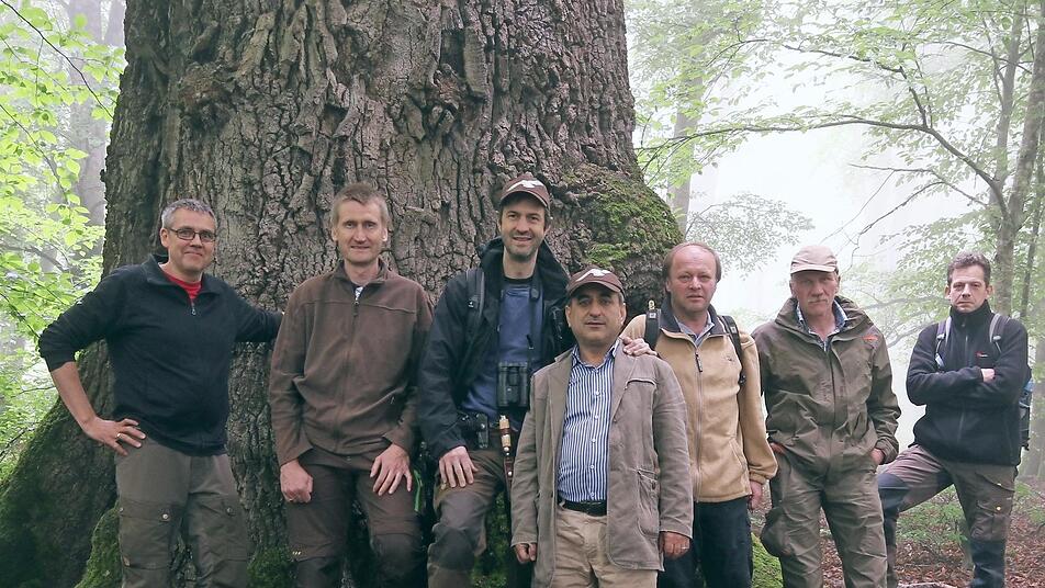 Hans Stark zeigt Fotos von Baumriesen aus den Wäldern im Nordiran