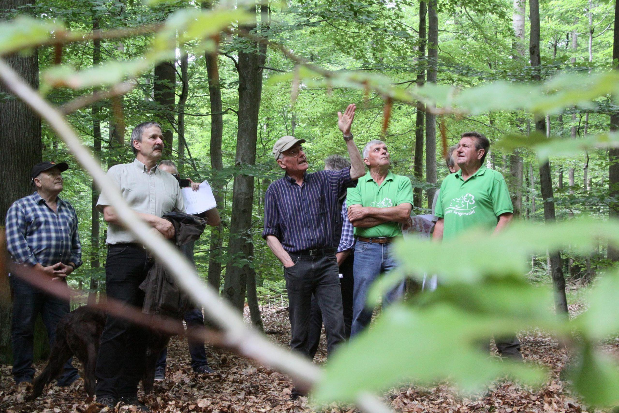 Fingerzeig im Ebracher Forst