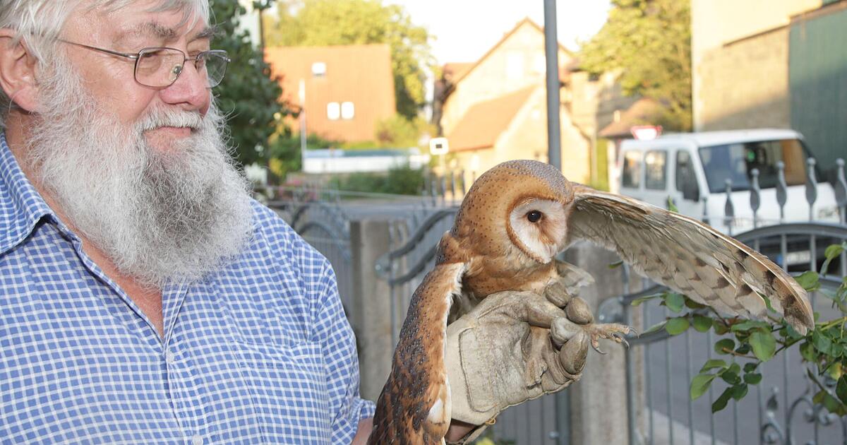 Vogelschützer Robert Endres darf sich „Grüner Engel“ nennen