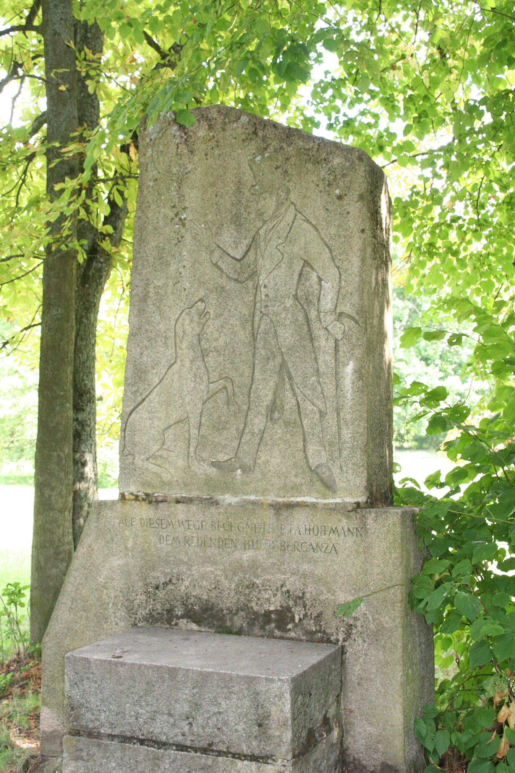 Bamberg: Natur und Kultur im Hain - Bürgerparkverein lädt zu Exkursion ein