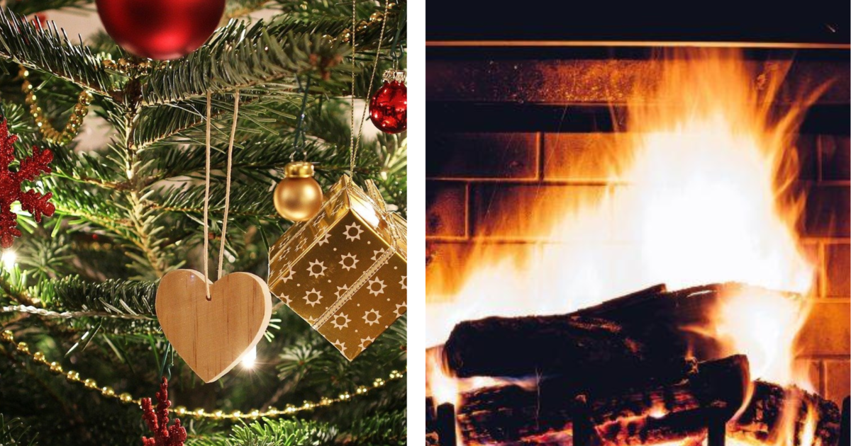 Christbaum zu Hause verschüren: Ist das eigentlich erlaubt?