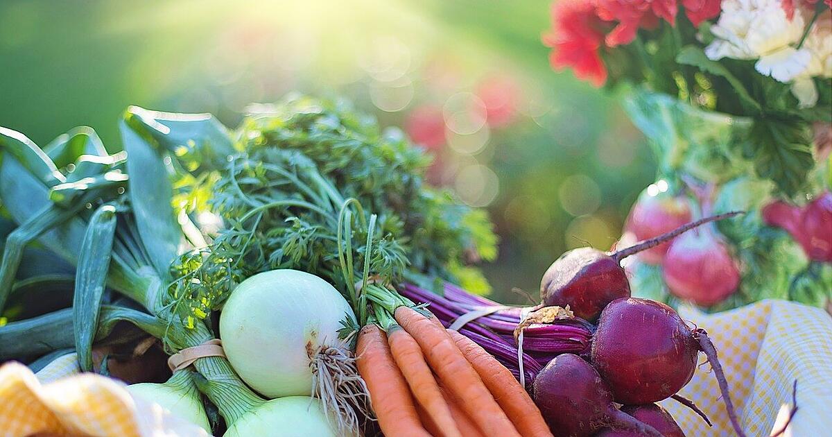 DGE-Empfehlungen 2024: Das solltest du über die neuen ...