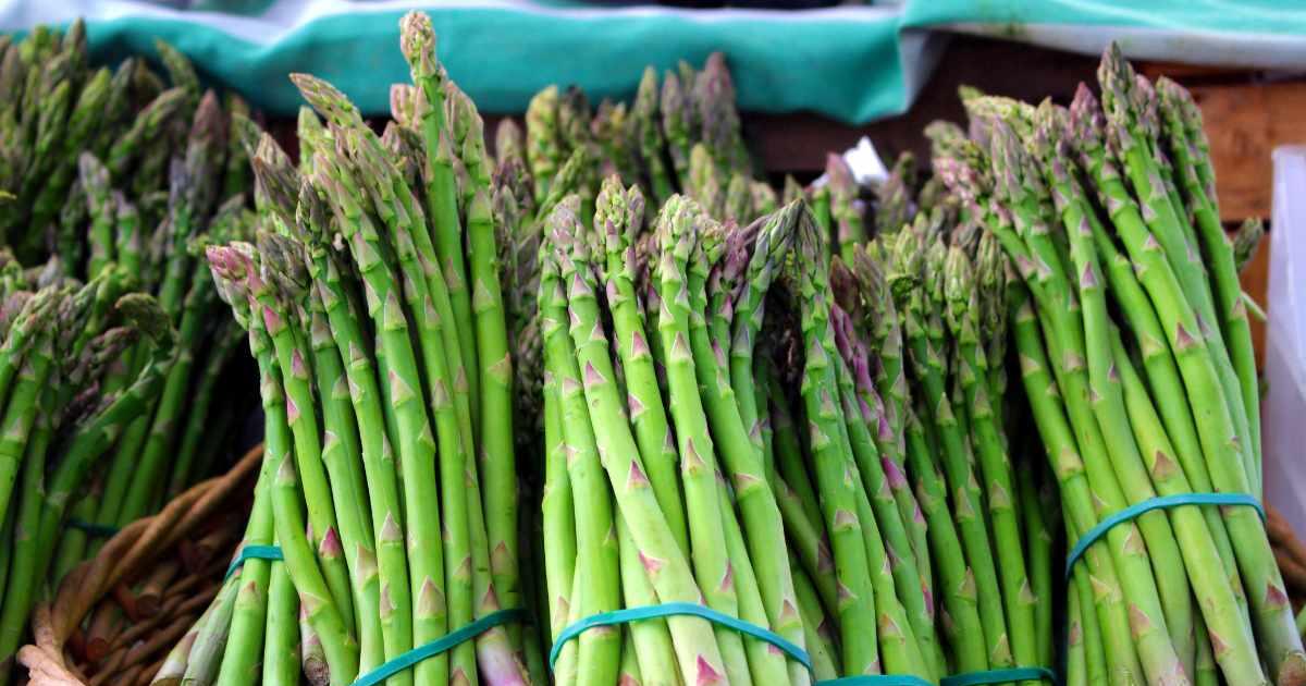Spargel-Rezepte: Leckere Gerichte und hilfreiche Tipps für die Königin ...