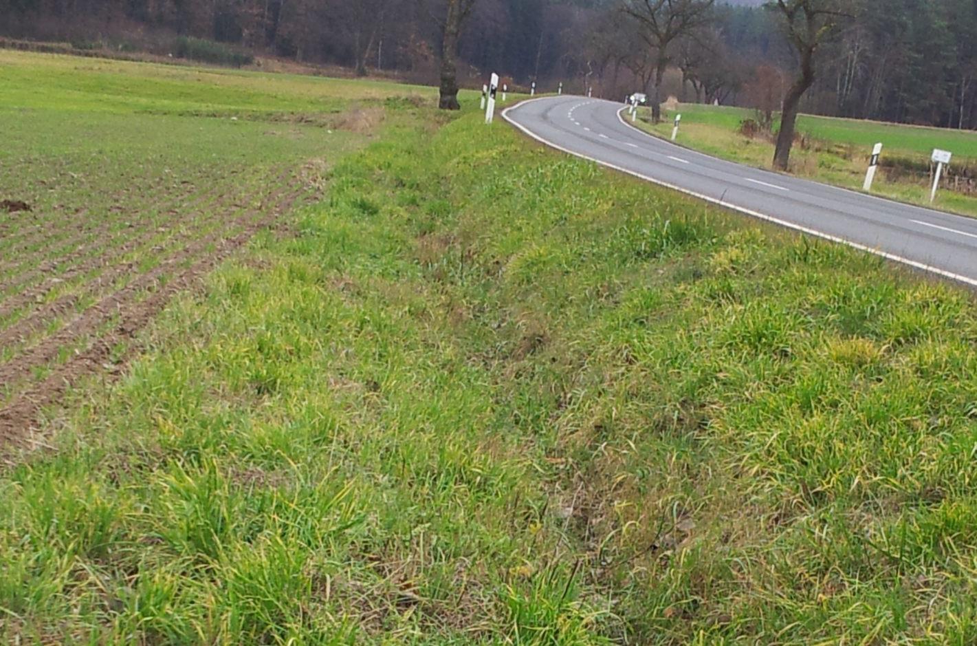 "Jeder Wildunfall ist einer zu viel"