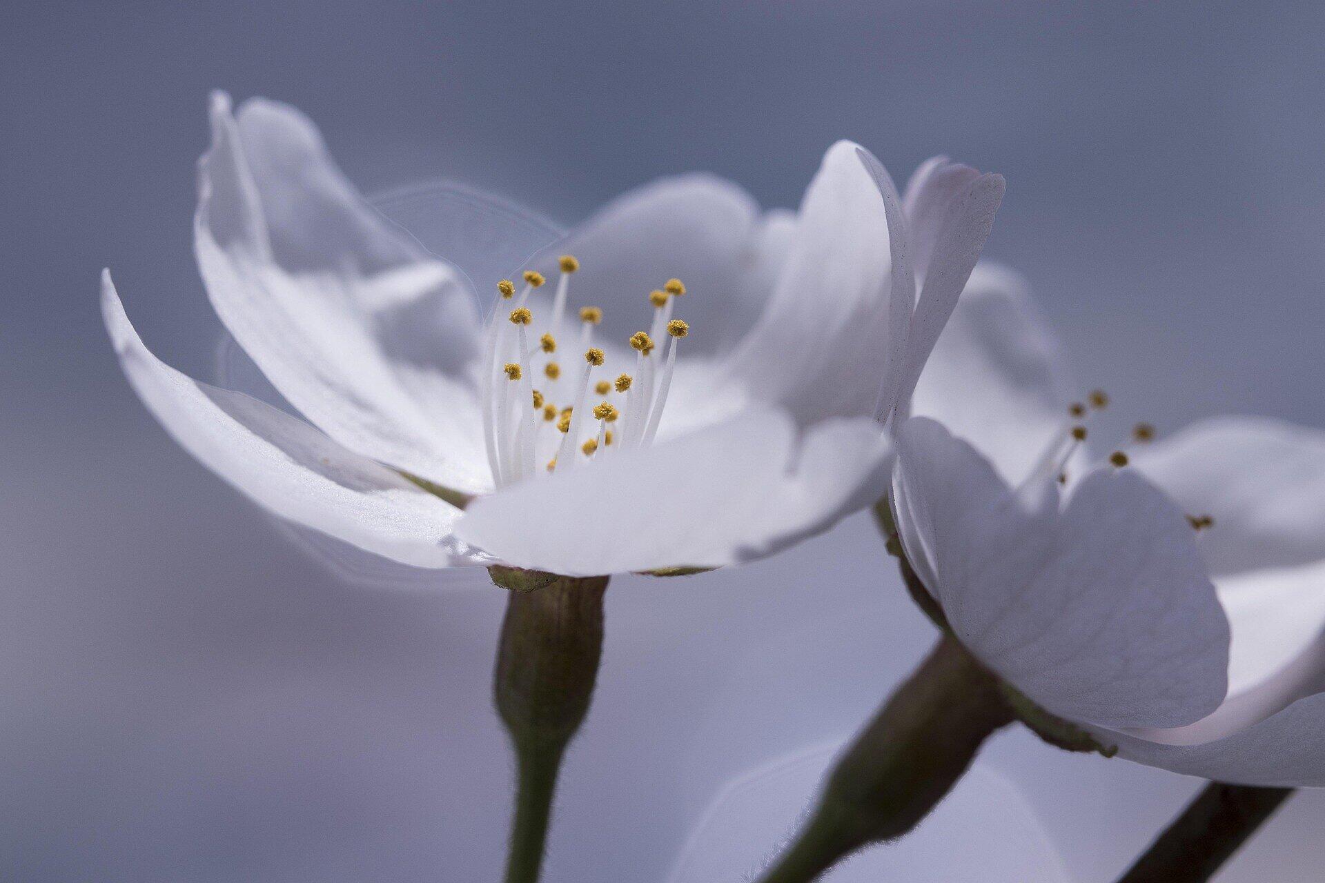 Barbaratag 2022: Was ist der Barbaratag und was steckt hinter den ...