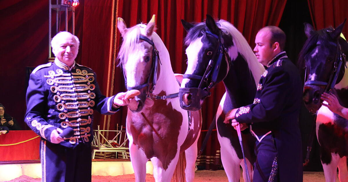 Elpersdorf bei Ansbach: Circus Henry kommt - mit neuem Showkonzept