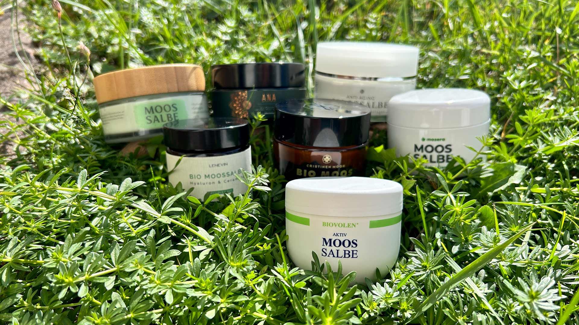 Moos Creme Moossalbe Dm