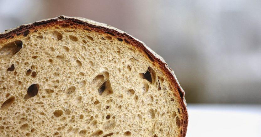 Brot mit Schimmel: Wann solltest du es besser nicht mehr essen?