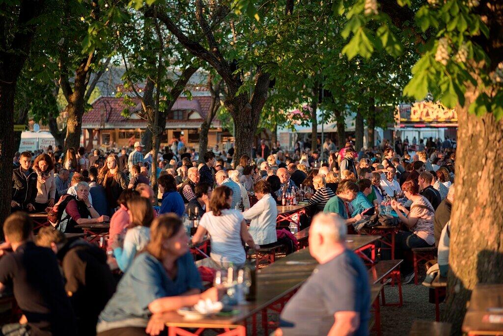 Nordheim: Erstes großes Open-Air-Weinfest der Saison 2023 startet