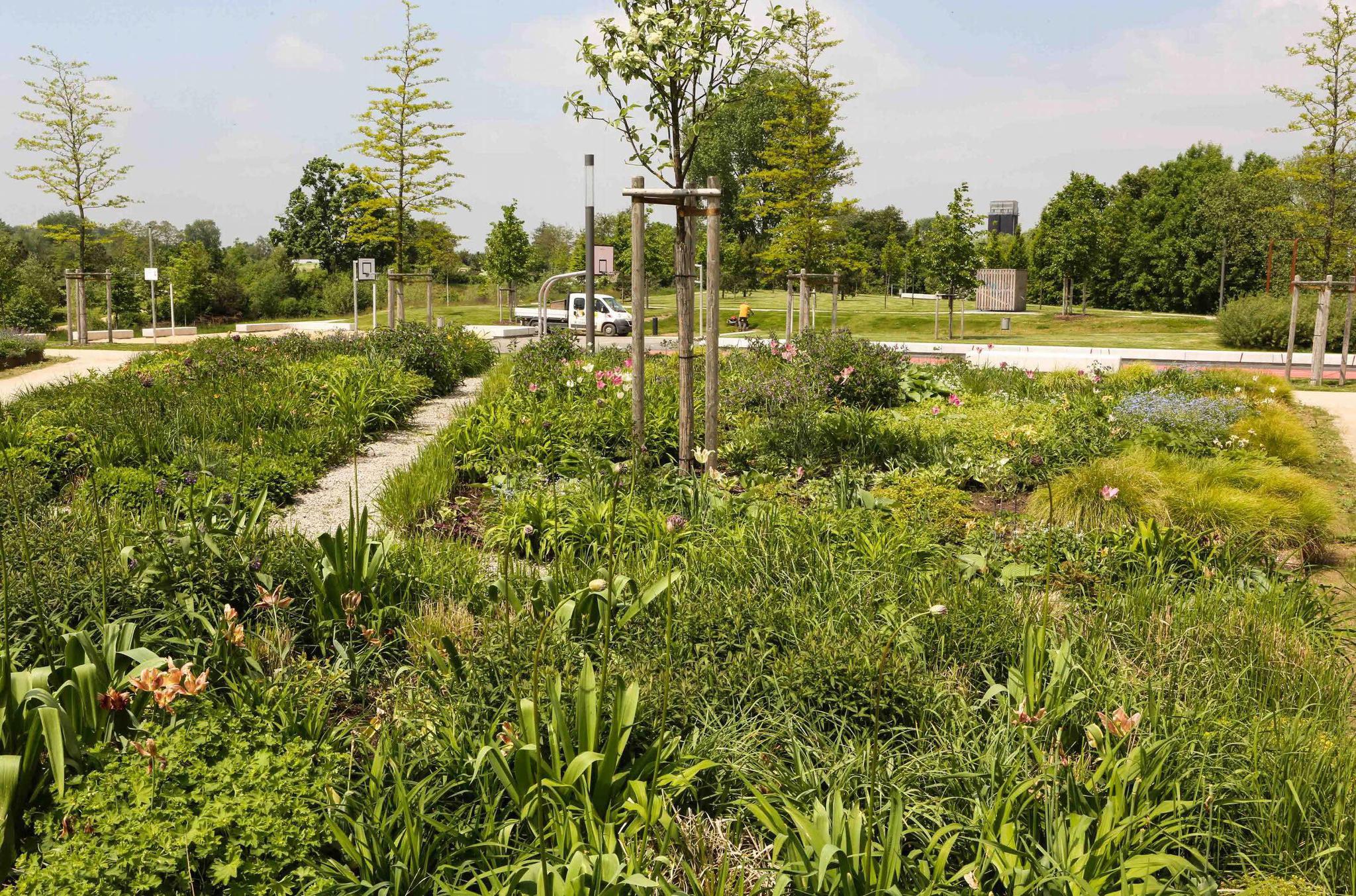 Stadt Bamberg eröffnet den Erba-Park