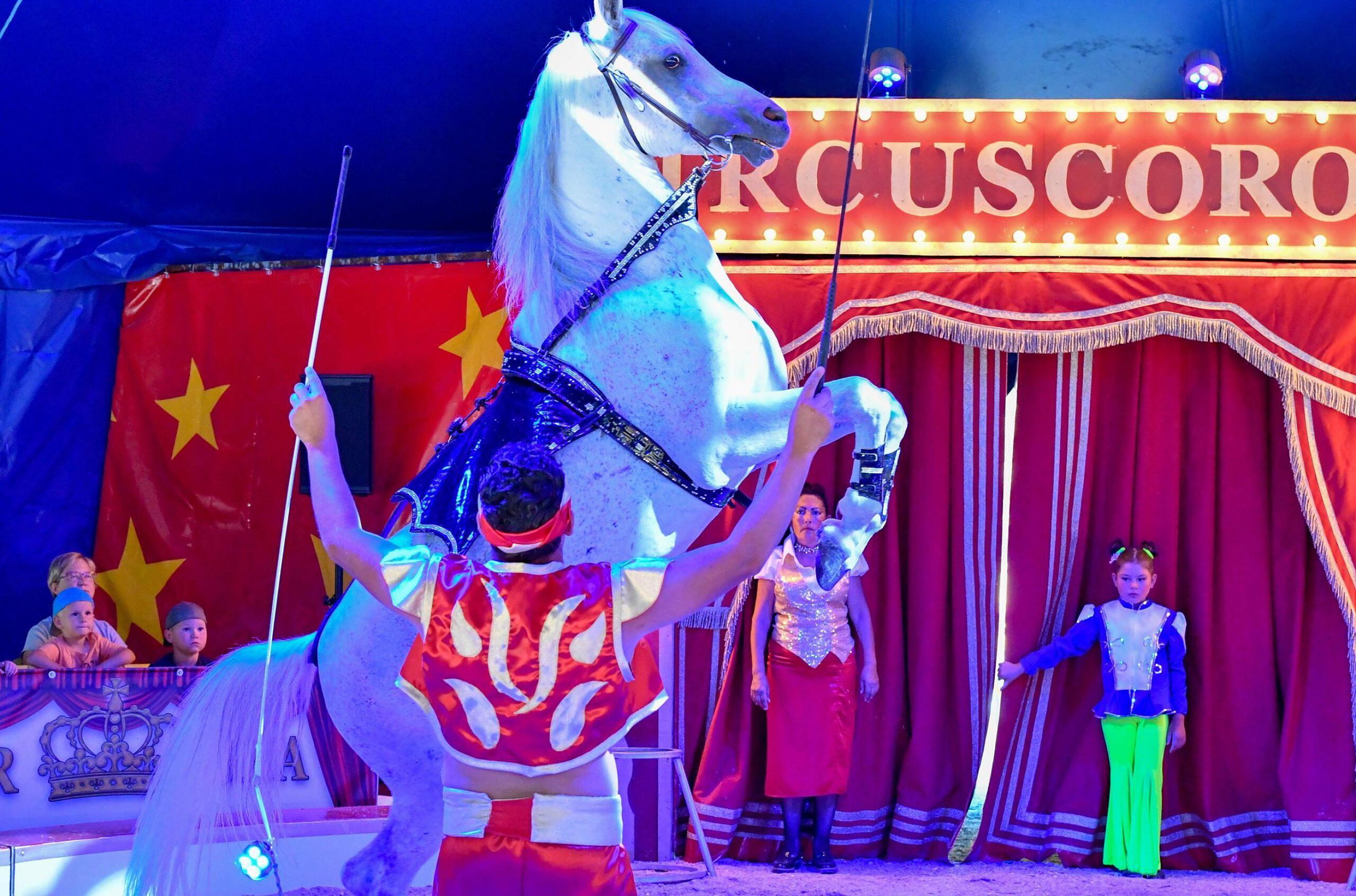 Endlich Manege frei für Circus Corona in Lisberg