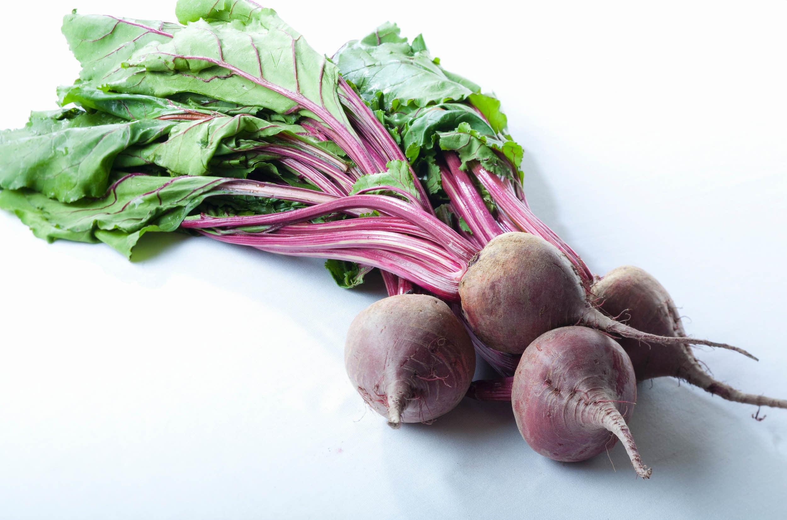 Gartentipps: Die Rote Rübe - das vielseitige Küchenwunder