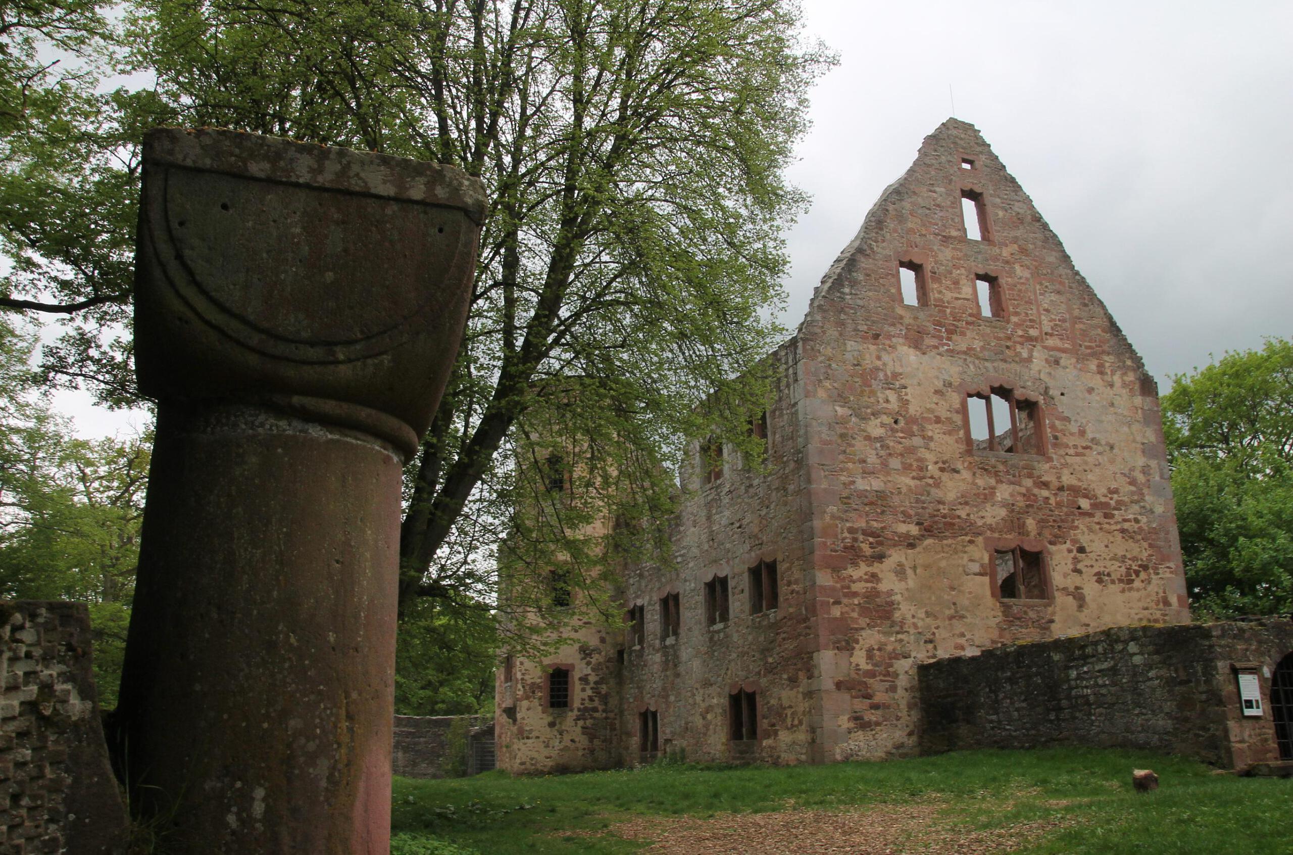 Geheimtipp für Ausflügler: Die Ruine Schönrain und ihre Geheimnisse