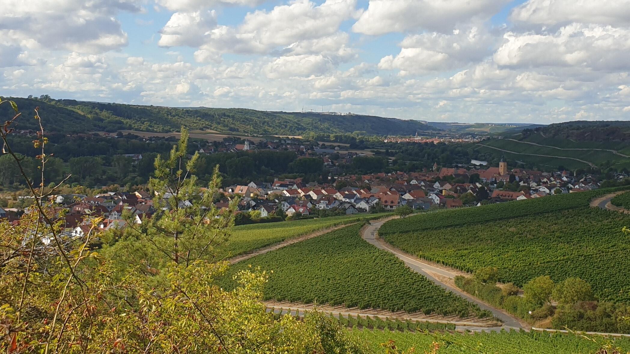 Steigerwaldklub unterwegs auf dem Kulturweg Winterhausen