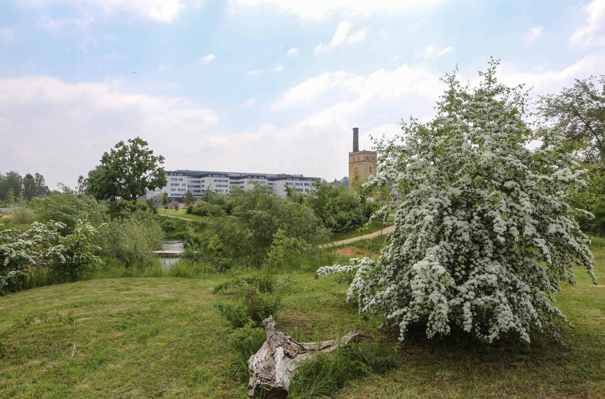 Stadt Bamberg eröffnet den Erba-Park