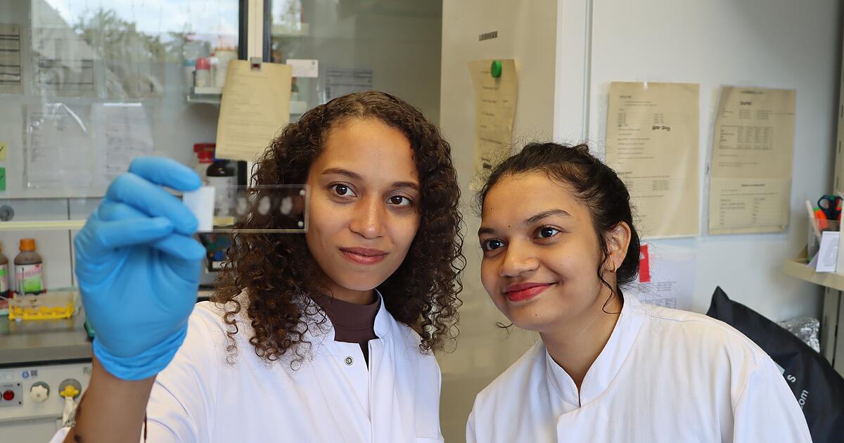 Würzburg: #WomenInScience - Forscherinnen am Uniklinikum geben Karrieretipps und Co.