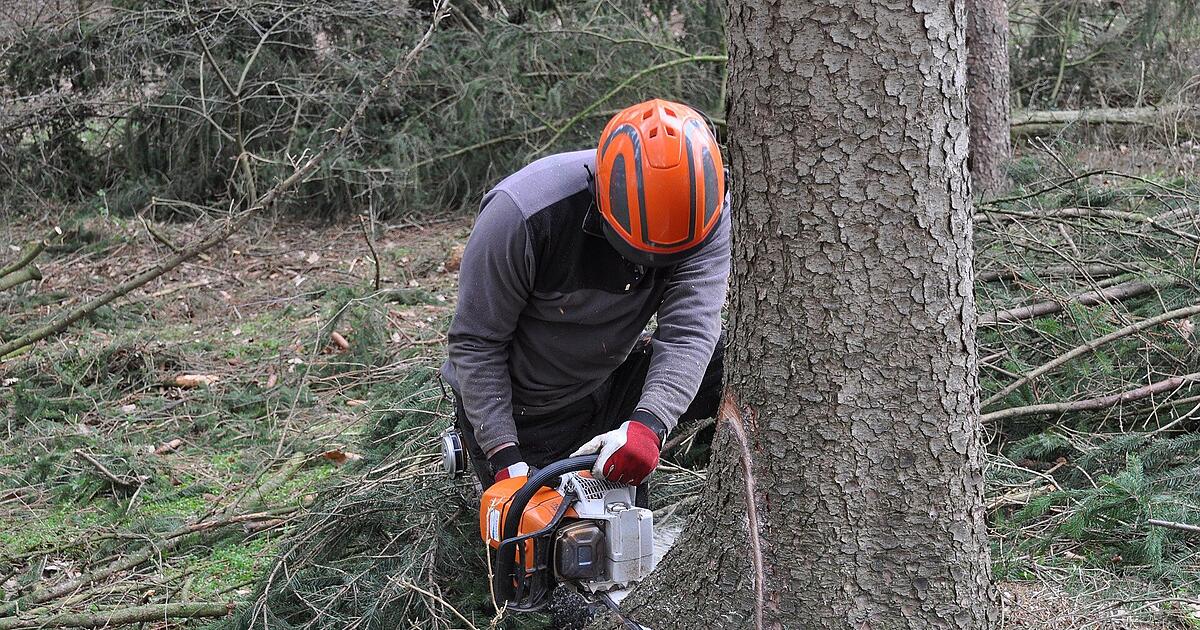 Wattendorf: St2210 ab Dienstag gesperrt - so wird der Verkehr umgeleitet