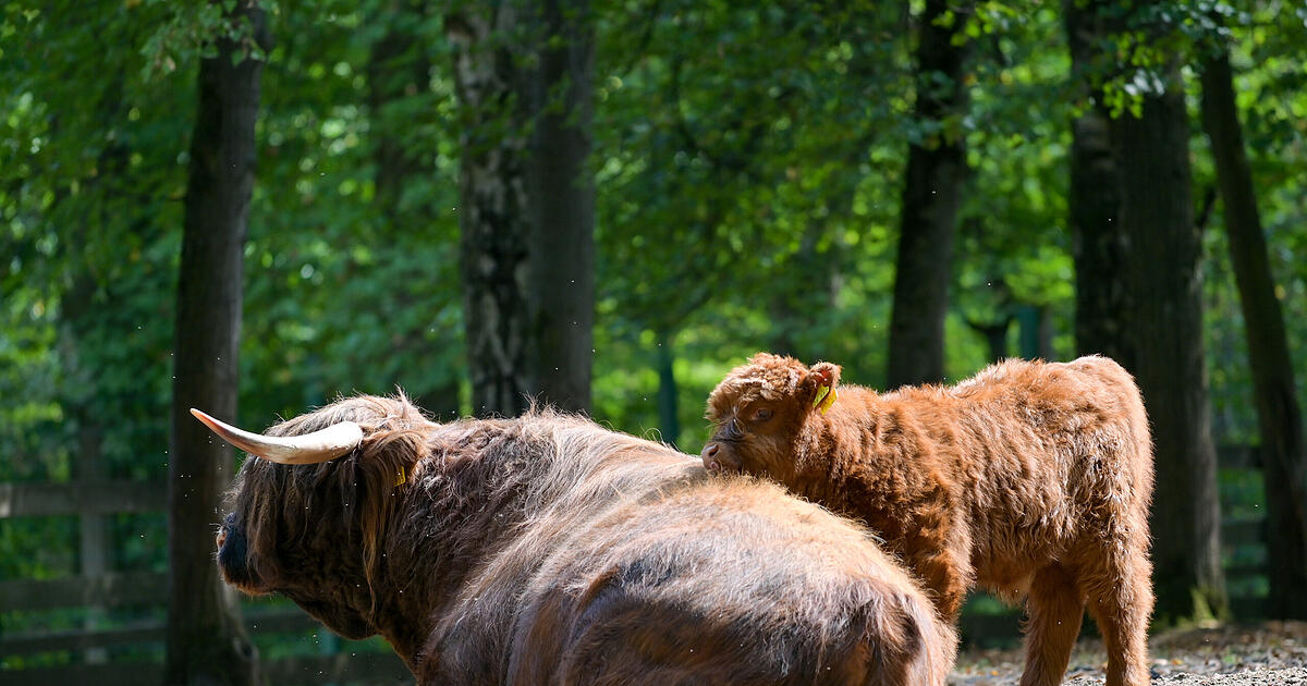 Die 5 schönsten Wildparks in Franken - Platz 1 mit freiem Eintritt