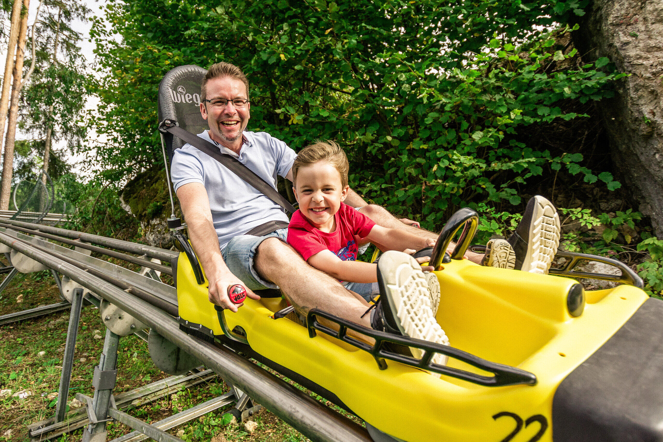 Sommerrodelbahn und Hexenbesen: Das gibt es am Erlebnisfelsen ...