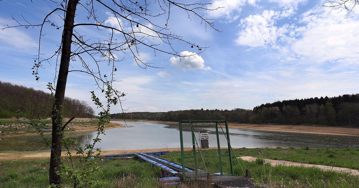 Neuigkeiten von Unterfrankens größtem See: Deshalb dürfen sich ...