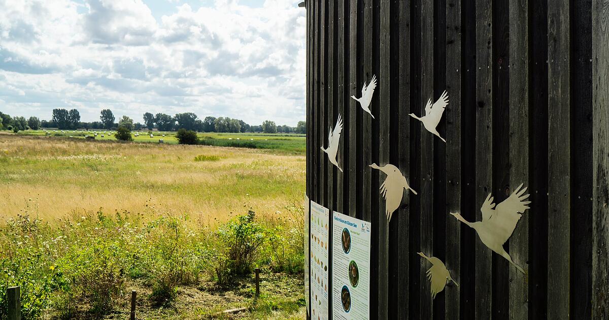 Kranichwelten in Günz: Neues Nabu-Zentrum mit interaktiven Erlebnissen