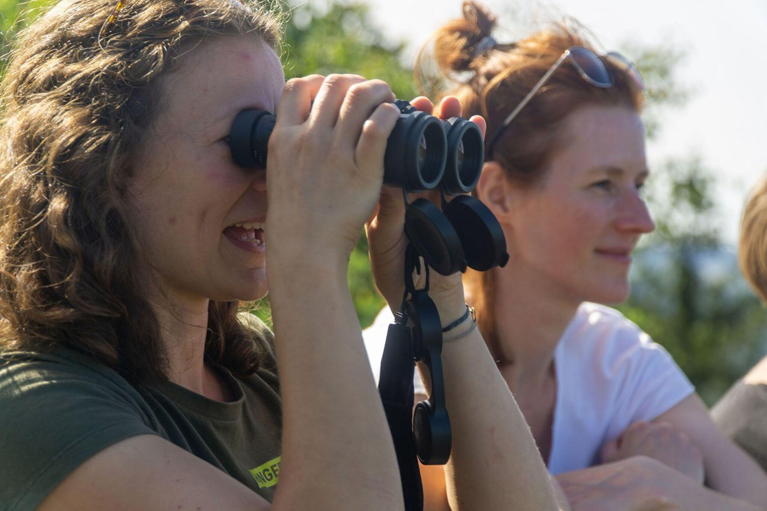 Großraum Nürnberg: VGN startet Abenteuer-Rallye-Gewinnspiel ...