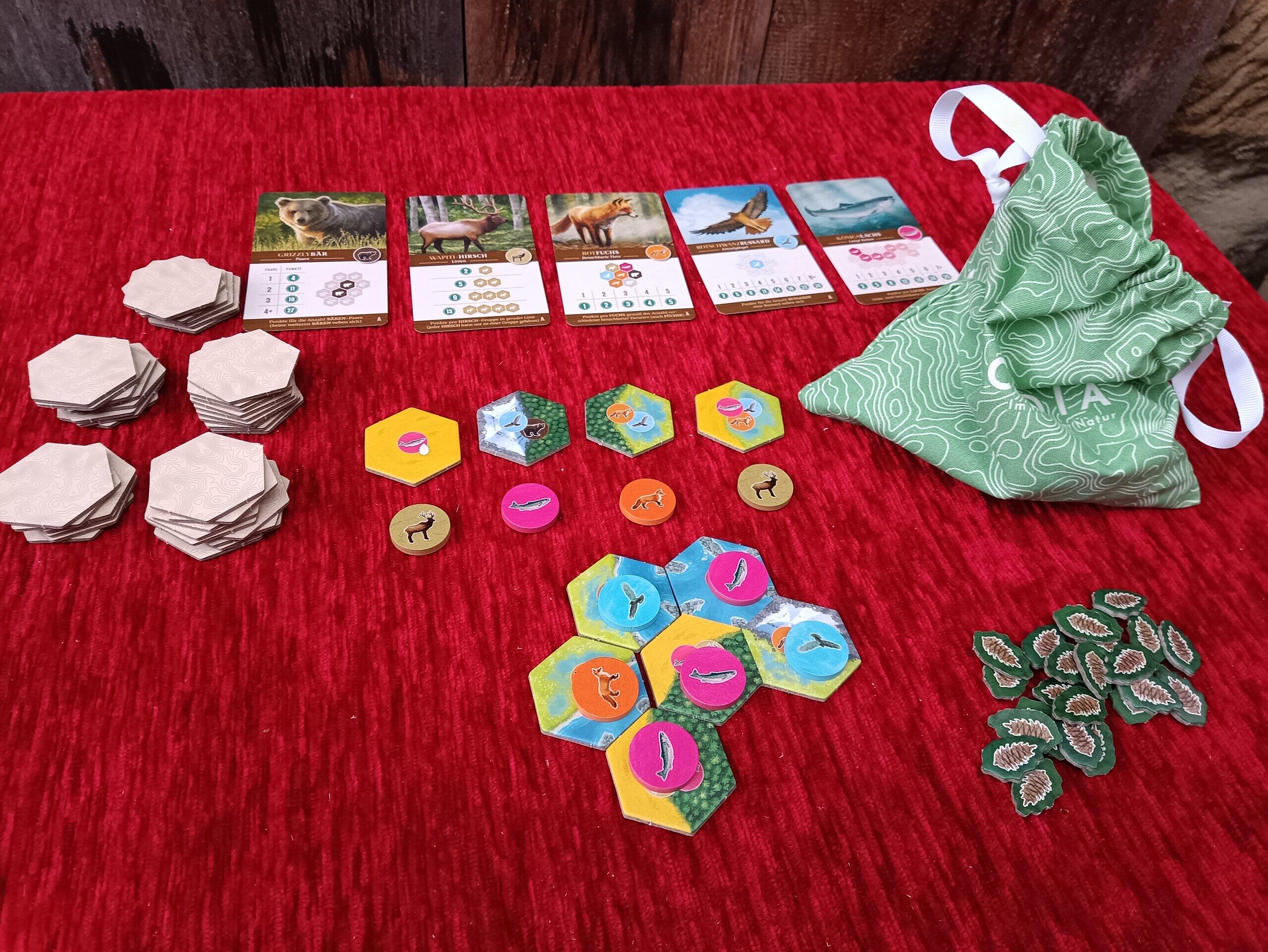 Spiele-Test "Cascadia": So gut ist das Spiel des Jahres 2022 - Bären ...