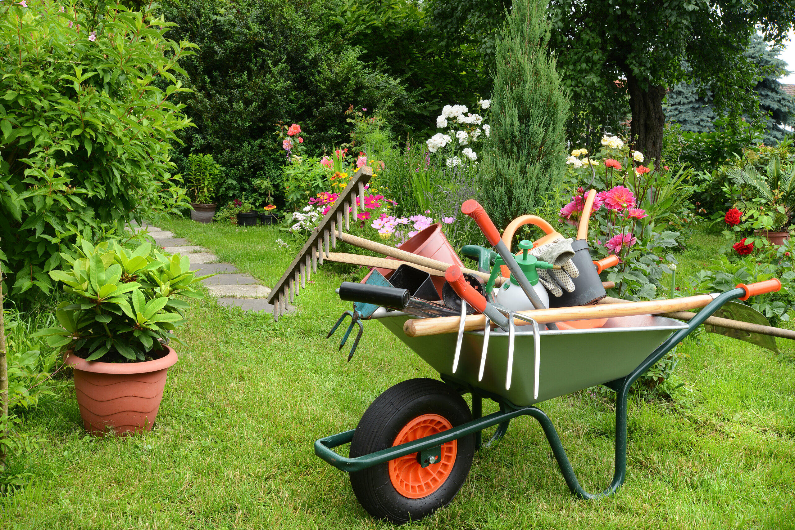 Gartenarbeit im Mai: Diese Aufgaben erwarten Sie jetzt