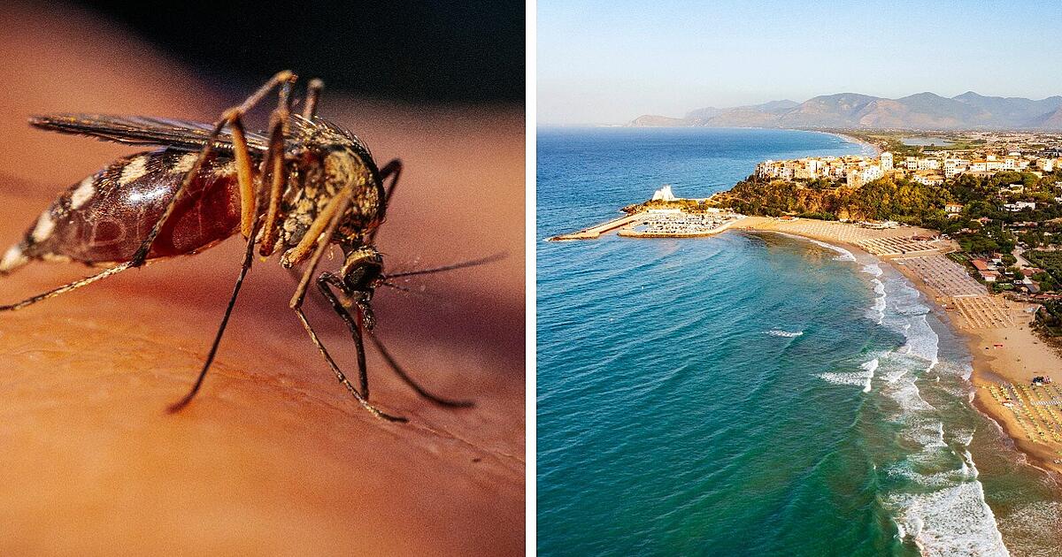 Astrogirll sex she is down to fuck from the get-go and