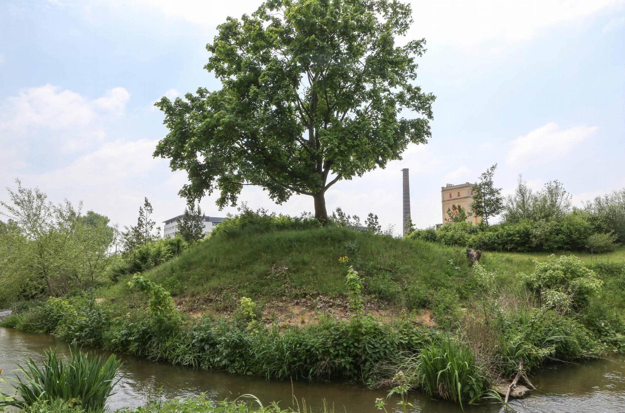 Stadt Bamberg eröffnet den Erba-Park