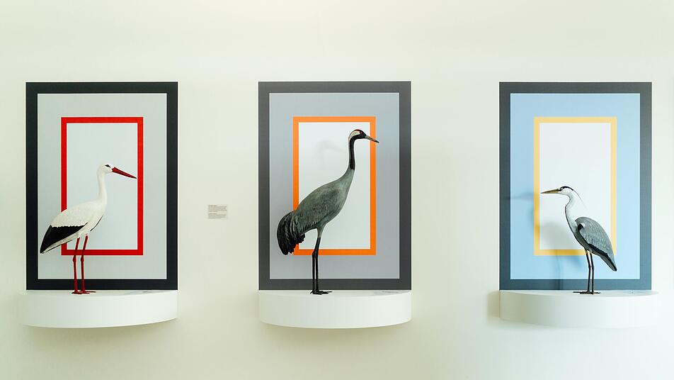 Kranichwelten in Günz: Neues Nabu-Zentrum mit interaktiven Erlebnissen