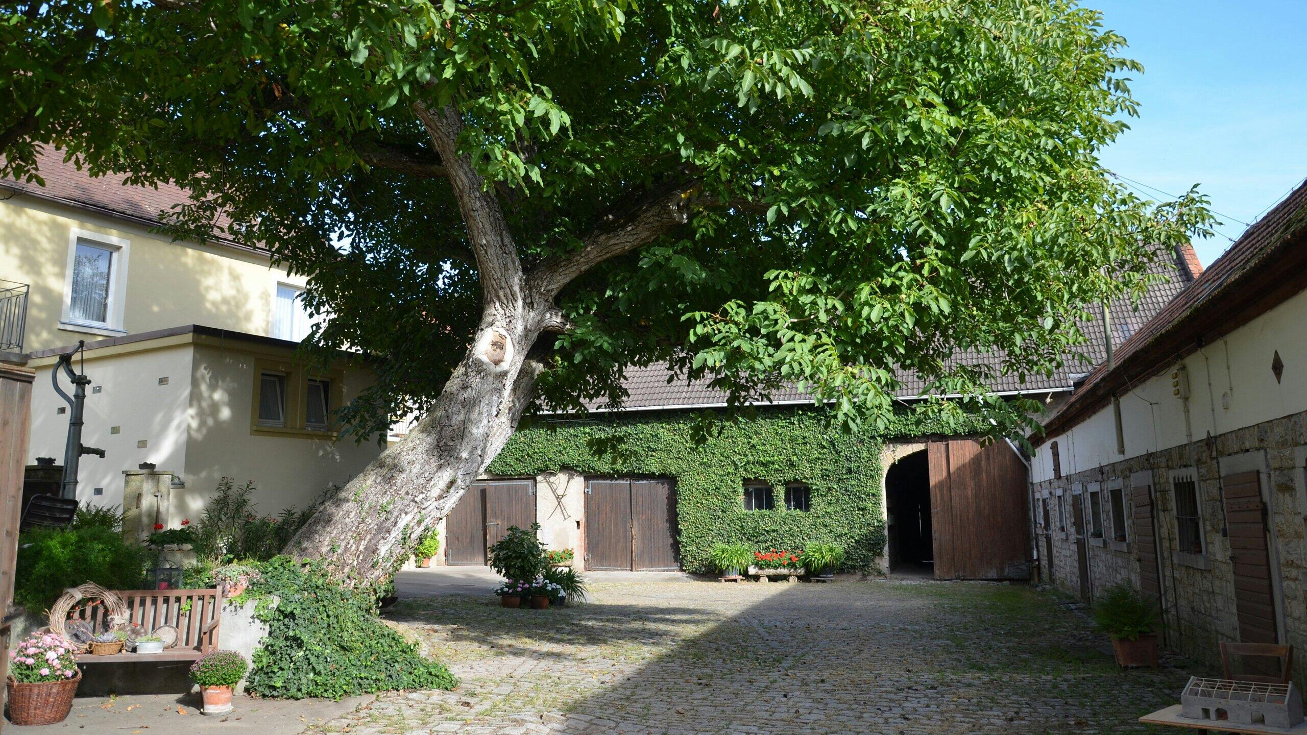 Auf Dettelbacher Hausbesitzer kommen Verbesserungsbeiträge zu