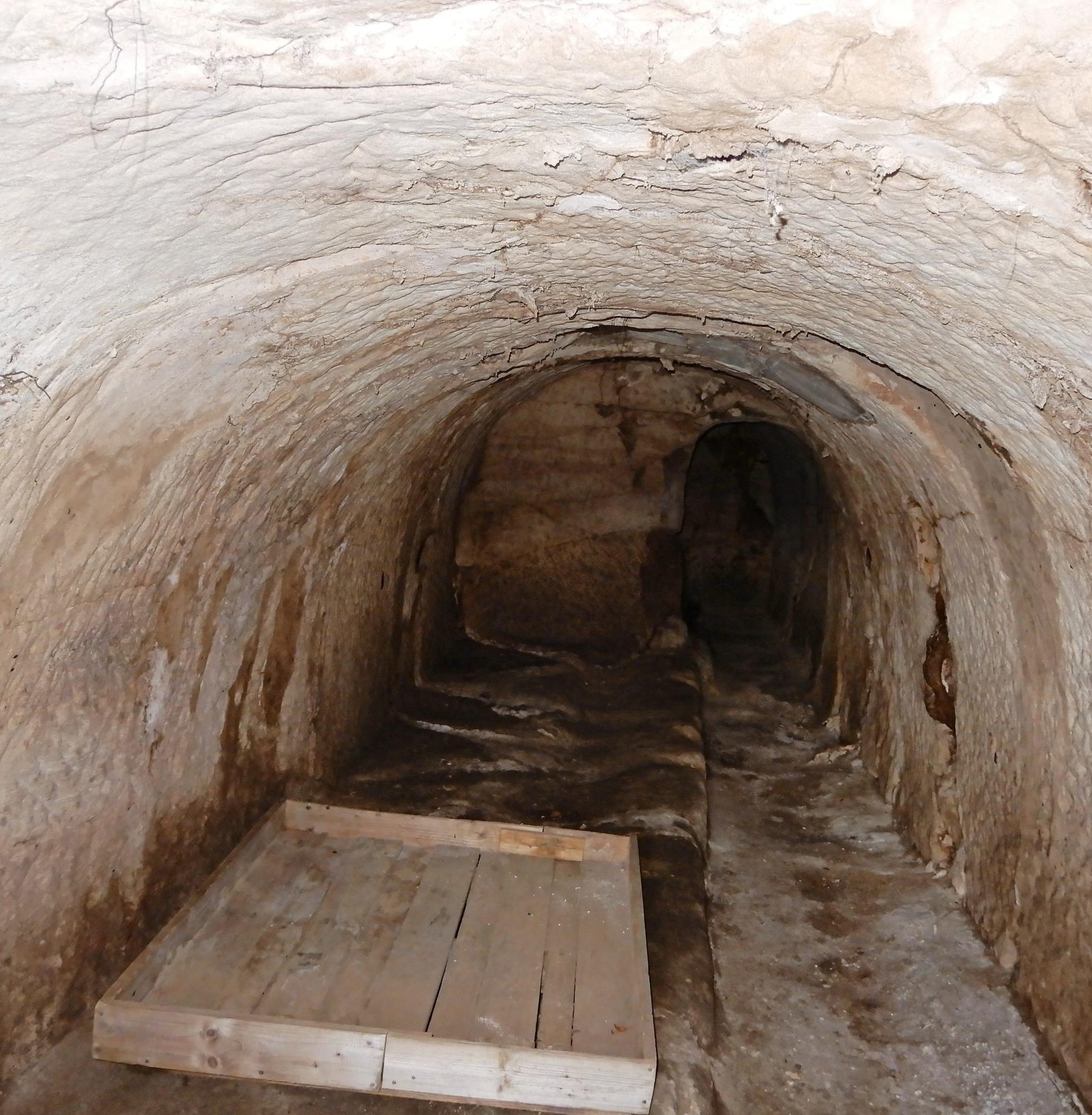 Geschichte der Felsenkeller